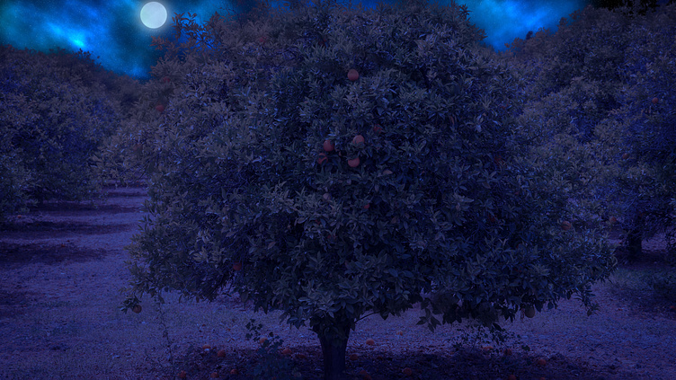 MOONLIGHT NIGHT DESIGN by Sirazam monira on Dribbble