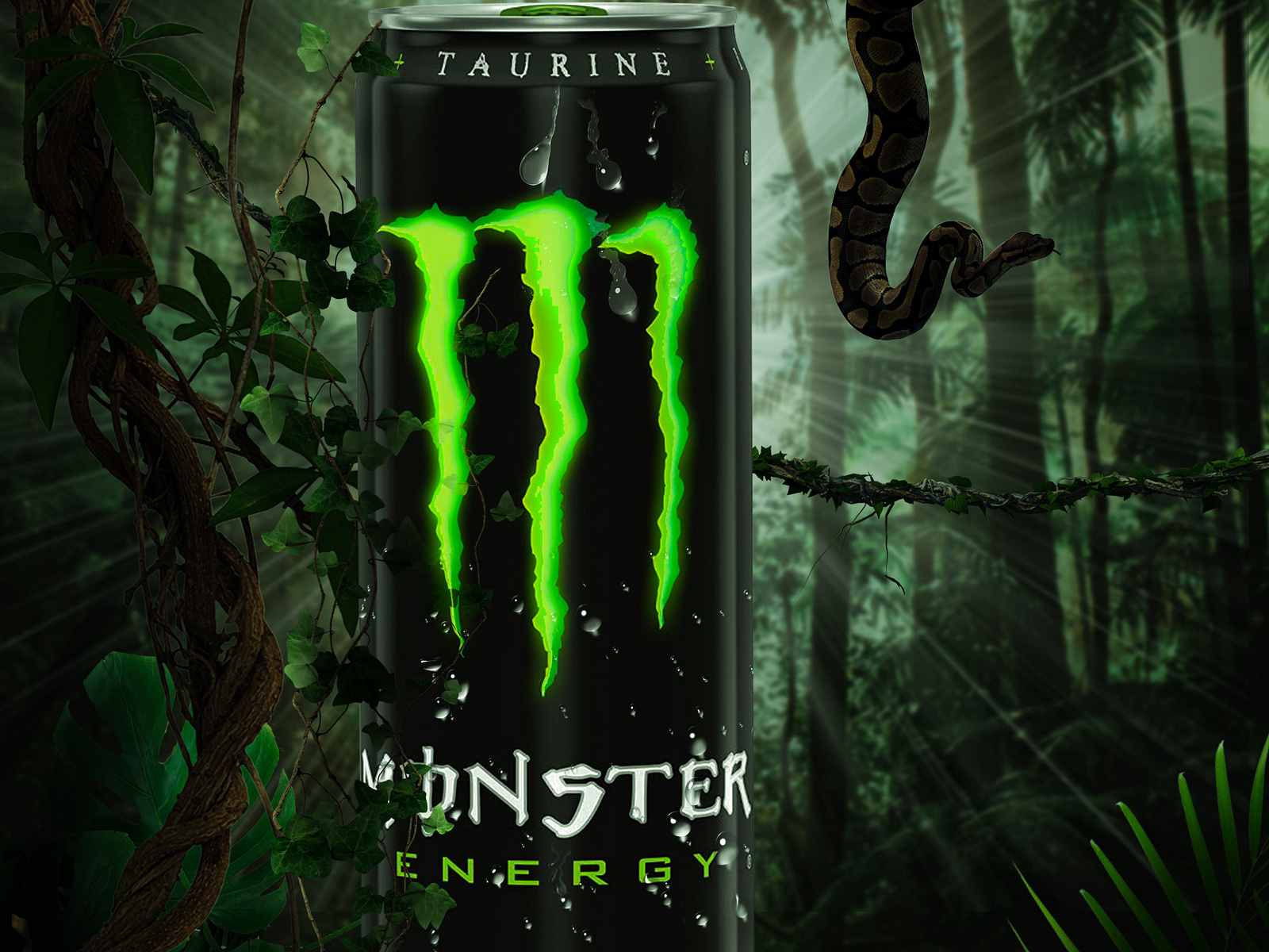 Monster Energy Drinks Wallpapers