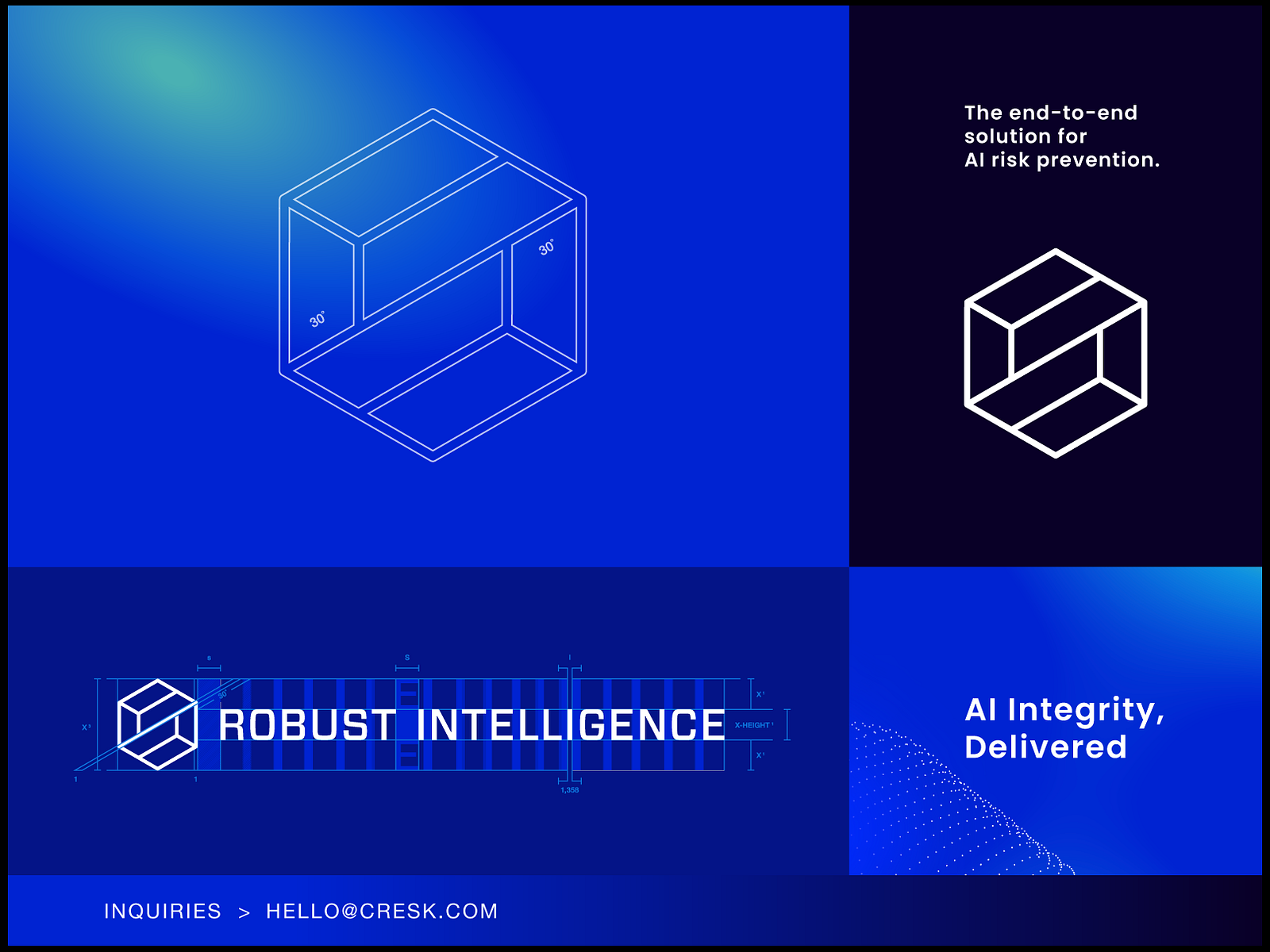 Robust Intelligence - Brand Identity Design by Gert van Duinen (Cresk ...