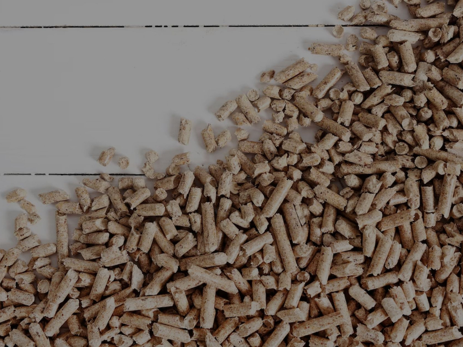 What Is Wood Pulp Used For By Skmpaper Marketing On Dribbble what-is-wood-pulp-used-for-by-skmpaper-marketing-on-dribbble