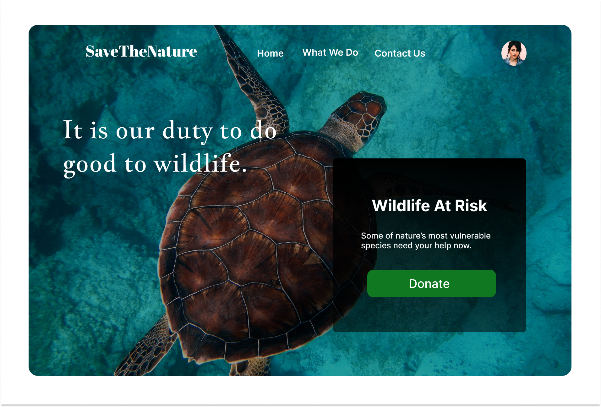 Nature Website Design designs, themes, templates and downloadable ...