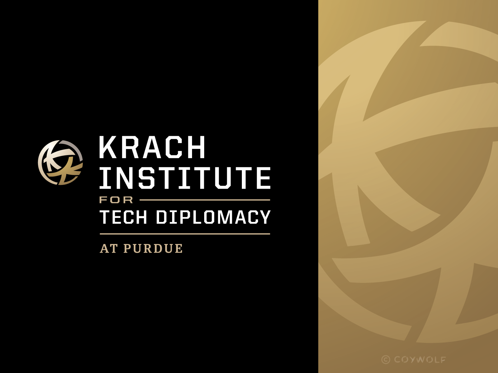 Identity Design - Krach Institute for Tech Diplomacy at Purdue by ...