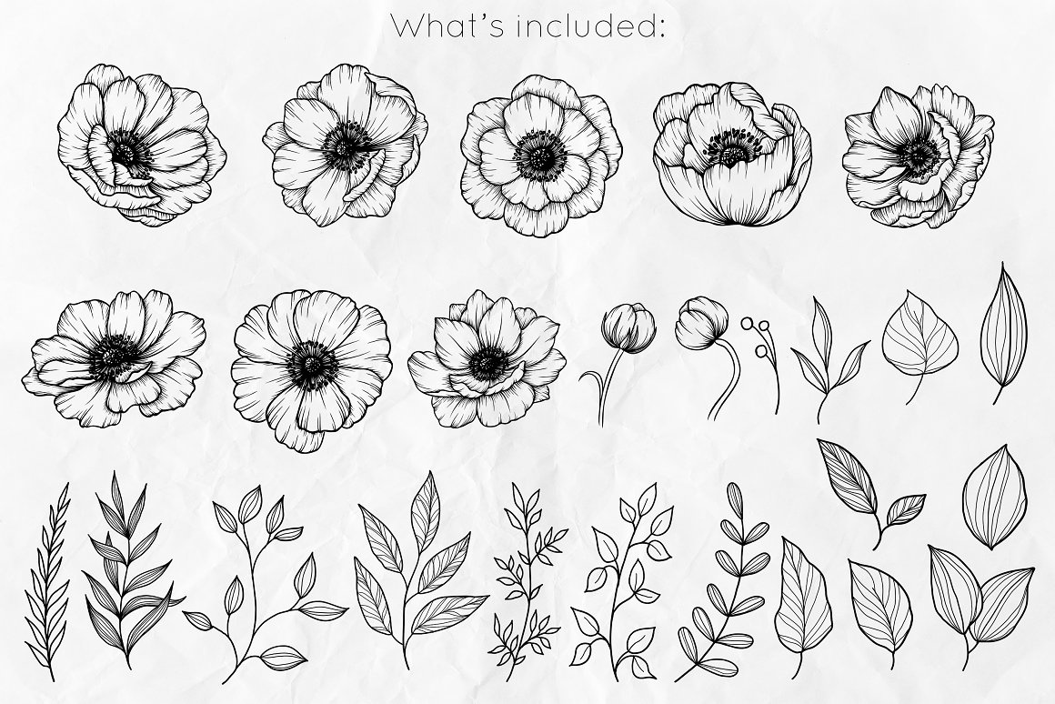 Anemones, Poppy flowers Line art by Rahasia.desainer on Dribbble