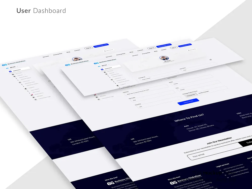 User Dashboard UI designs, themes, templates and downloadable graphic ...