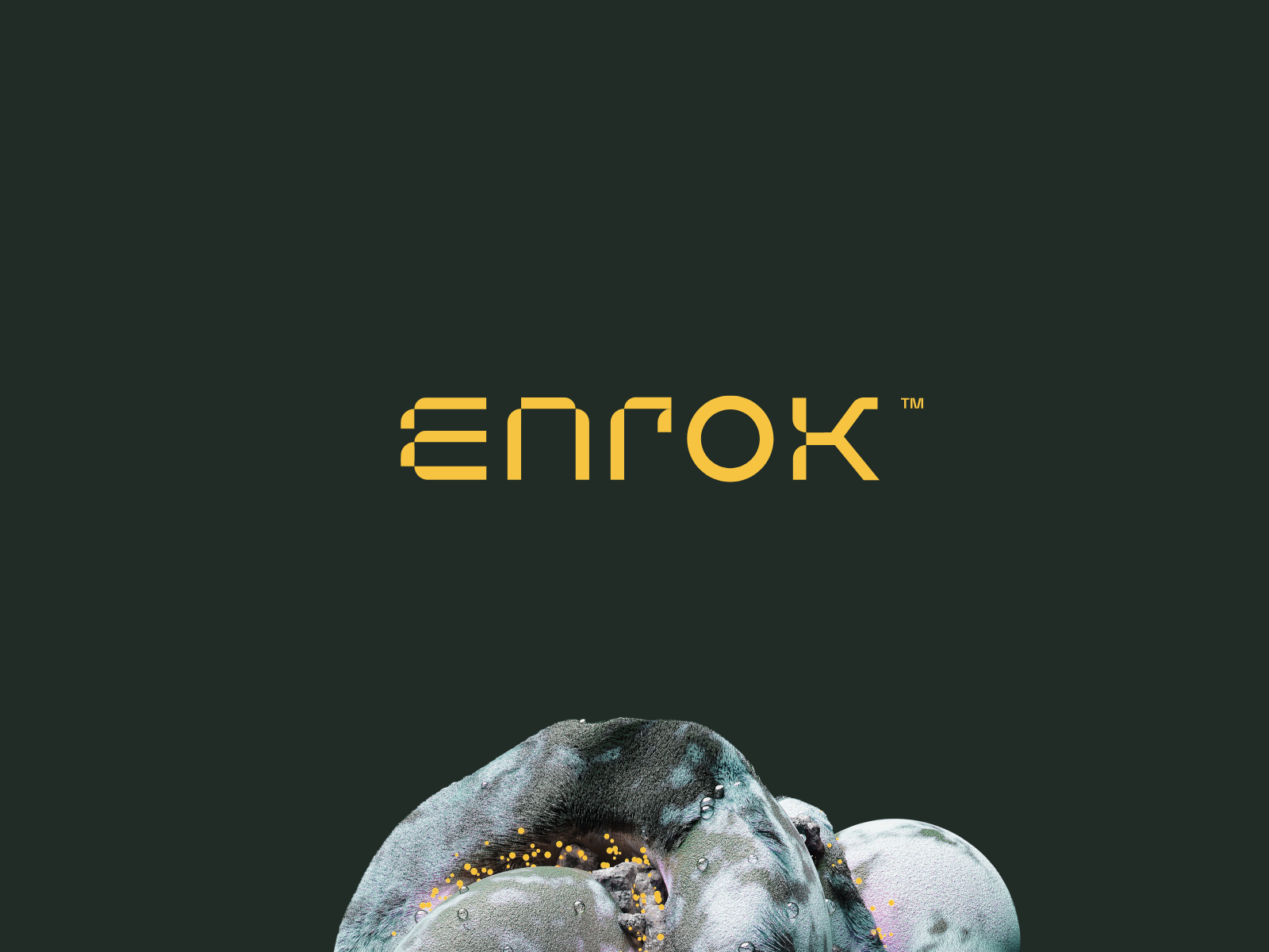 ENROK by Mariusz Mitkow on Dribbble