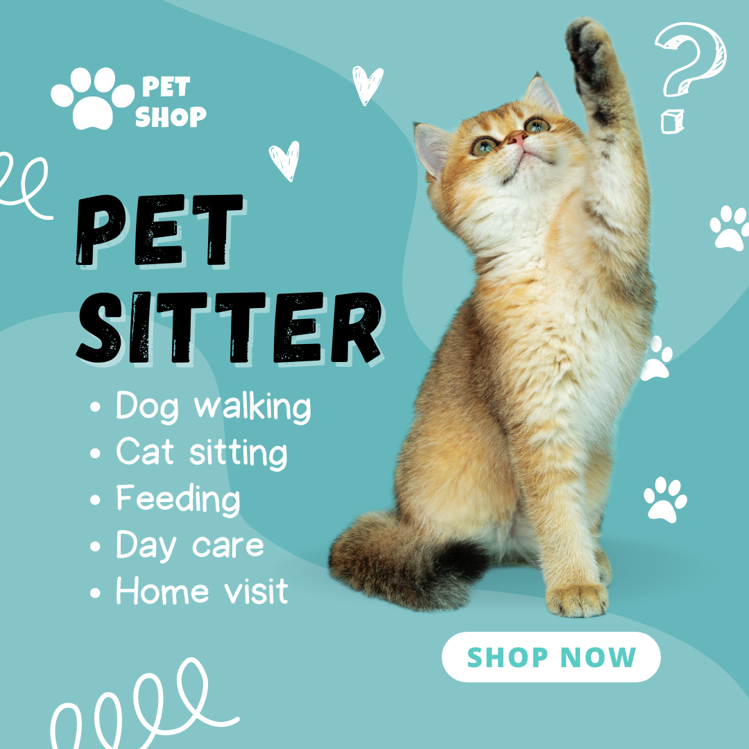 social media post design/cat food design/pet shop by Umma Huni Usha on ...