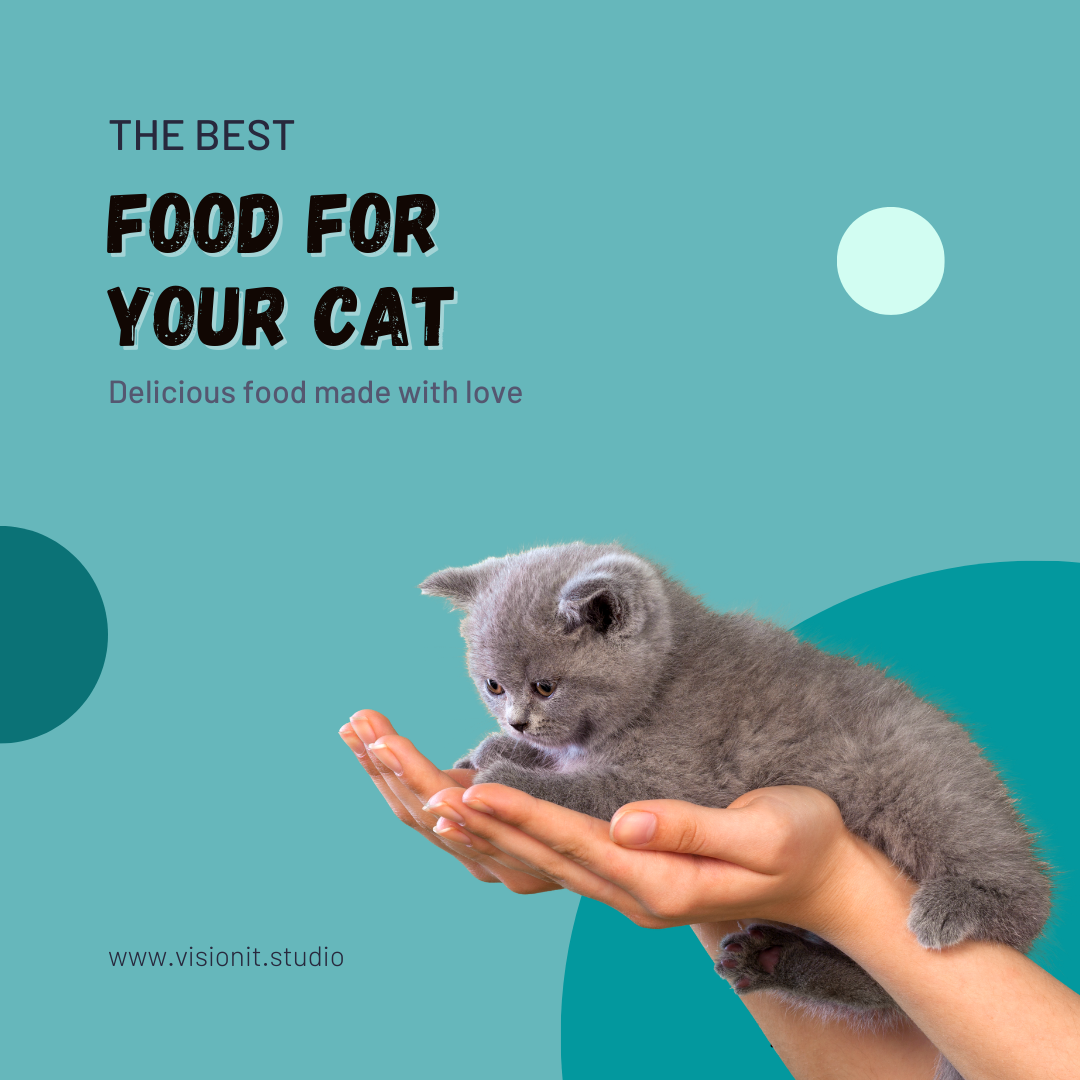 social media post design/cat food design/pet shop by Umma Huni Usha on ...