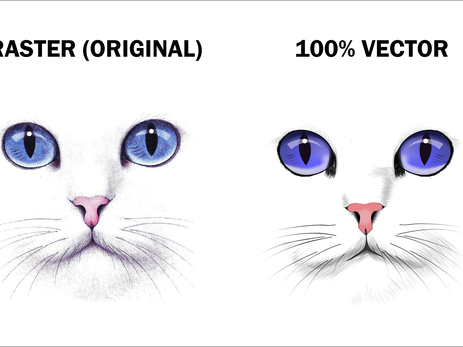 Real Cat Face Vector by Ammar Humayun on Dribbble