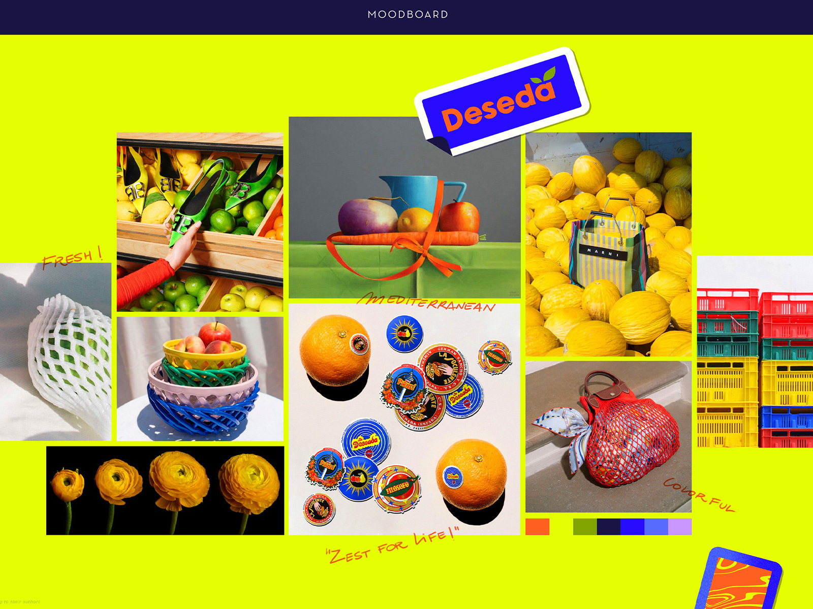 🍊 by Lorena G on Dribbble