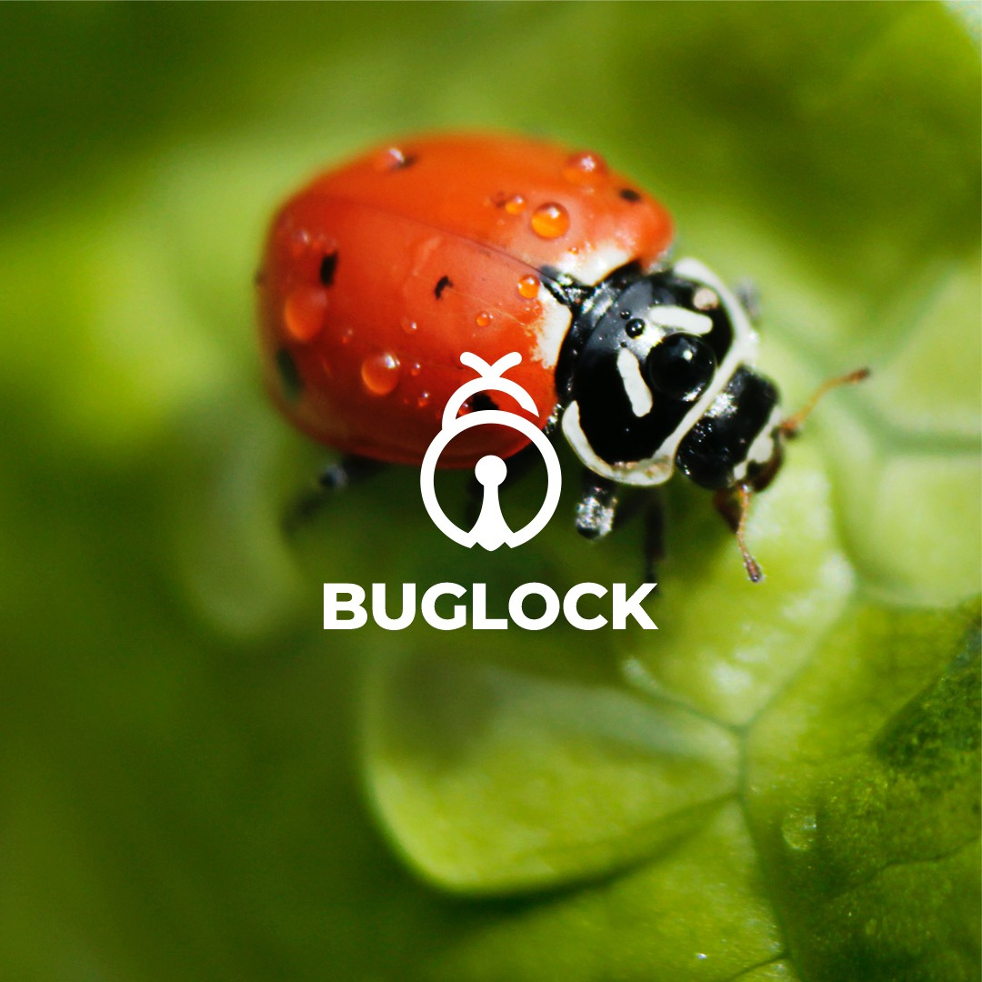 BugLock Logo by Garagephic Studio on Dribbble