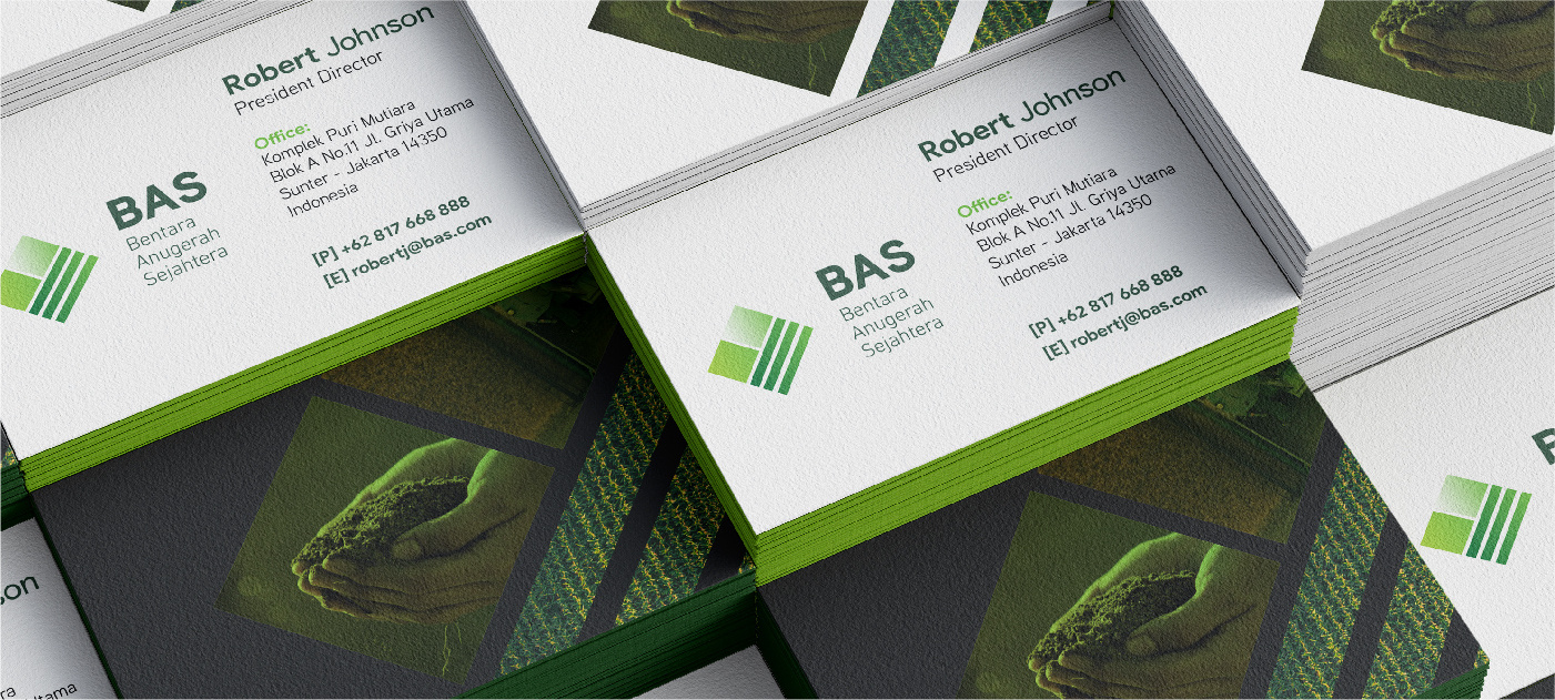 BAS Logo by studio suhe on Dribbble
