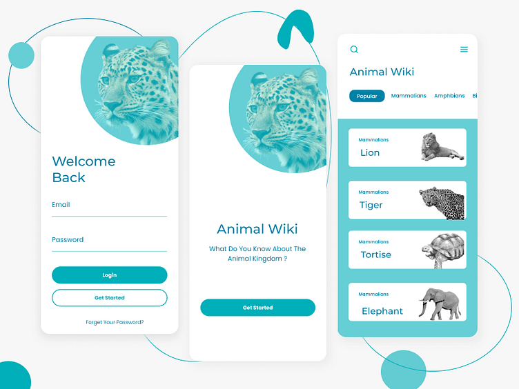animal app by meriem on Dribbble