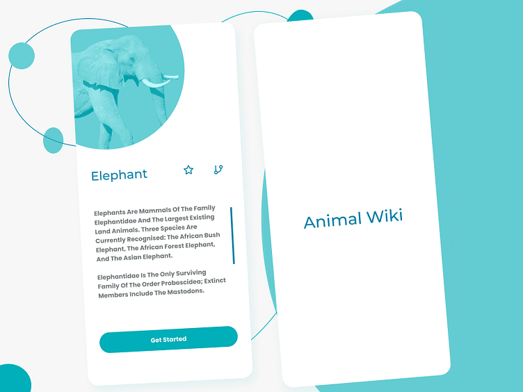 animal app by meriem on Dribbble