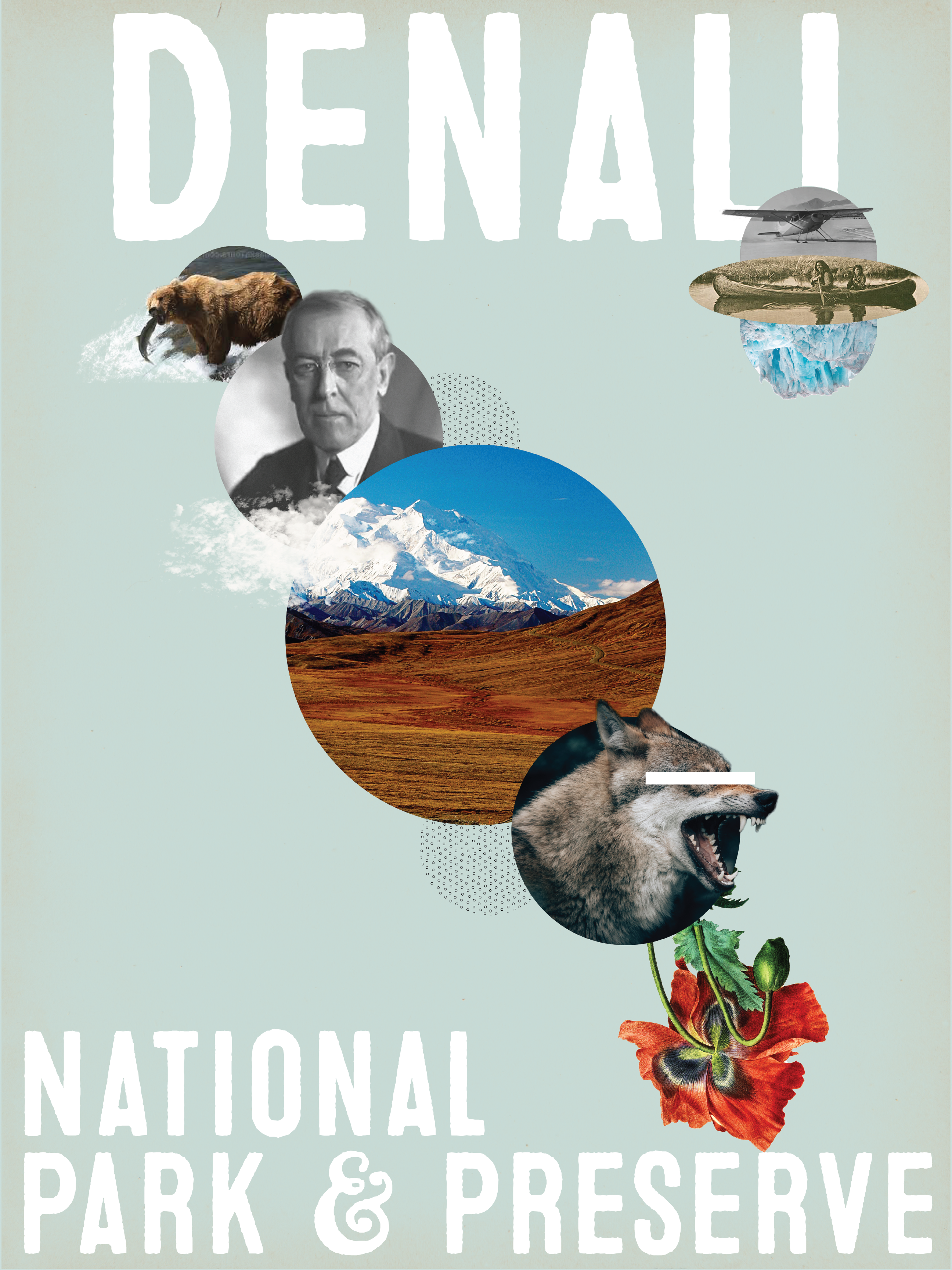 Denali National Park Collage Poster by Pine Watt on Dribbble