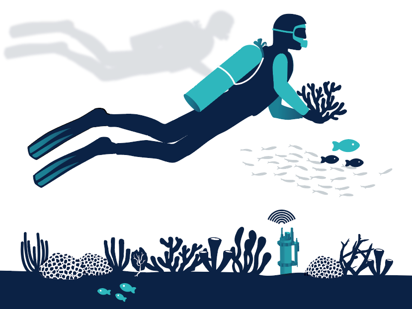 Illustrated Infographic by Jenn on Dribbble