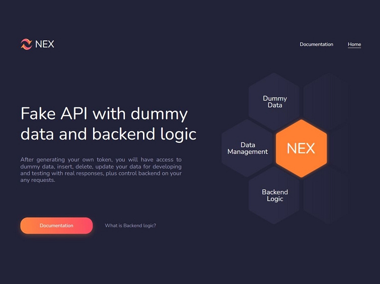 Fake API by Roya Asadnezhad on Dribbble