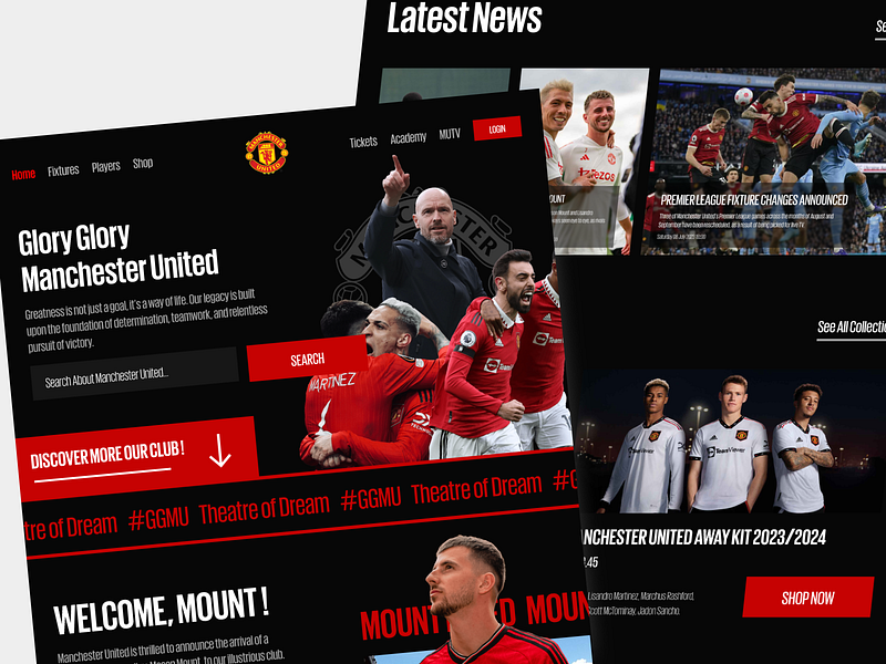 Sports Website designs, themes, templates and downloadable graphic ...