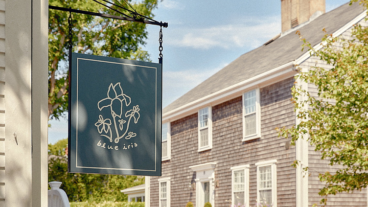 Blue Iris in Nantucket by MJ Kim on Dribbble