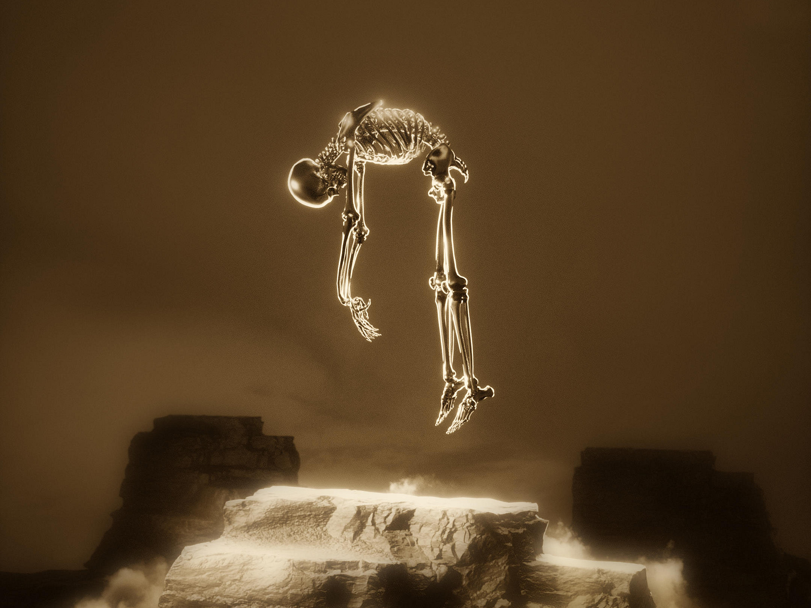 ETERNAL REBIRTH by Saleem Danish on Dribbble