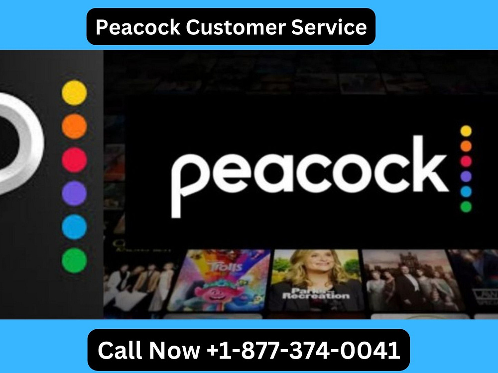 Peacock Customer Service Designs Themes Templates And Downloadable Graphic Elements On Dribbble