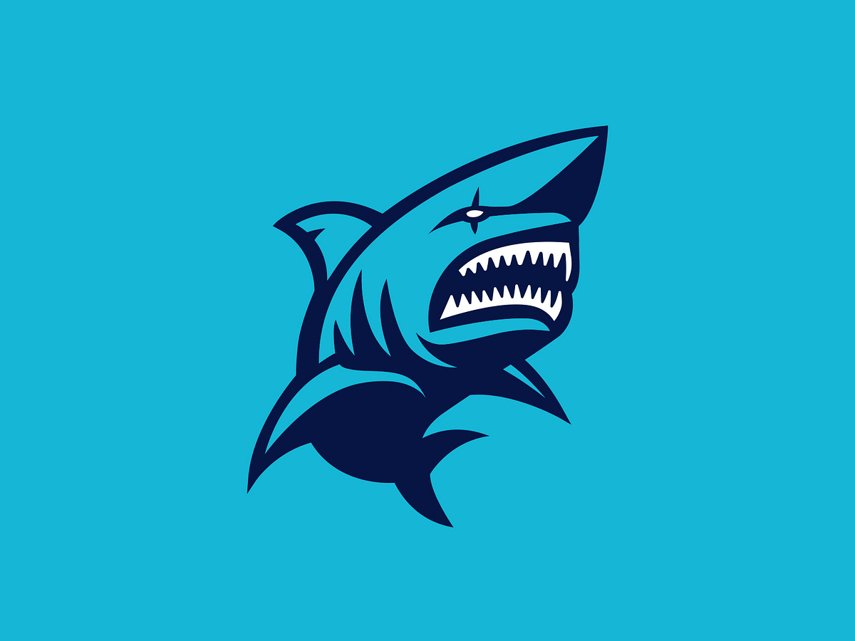 Browse thousands of Shark images for design inspiration | Dribbble