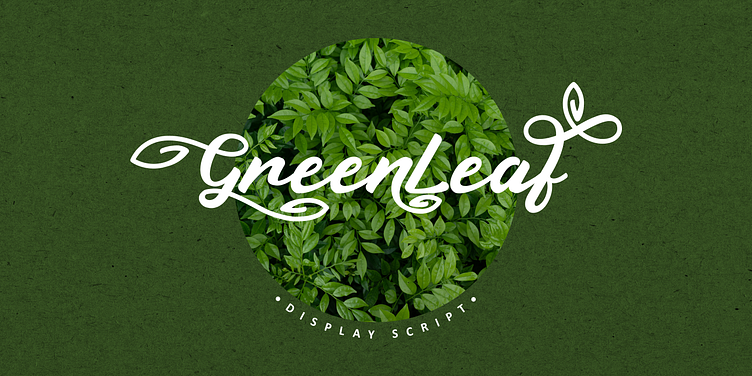 Free Display Script - Green Leaf Font by PutraCetol Studio on Dribbble