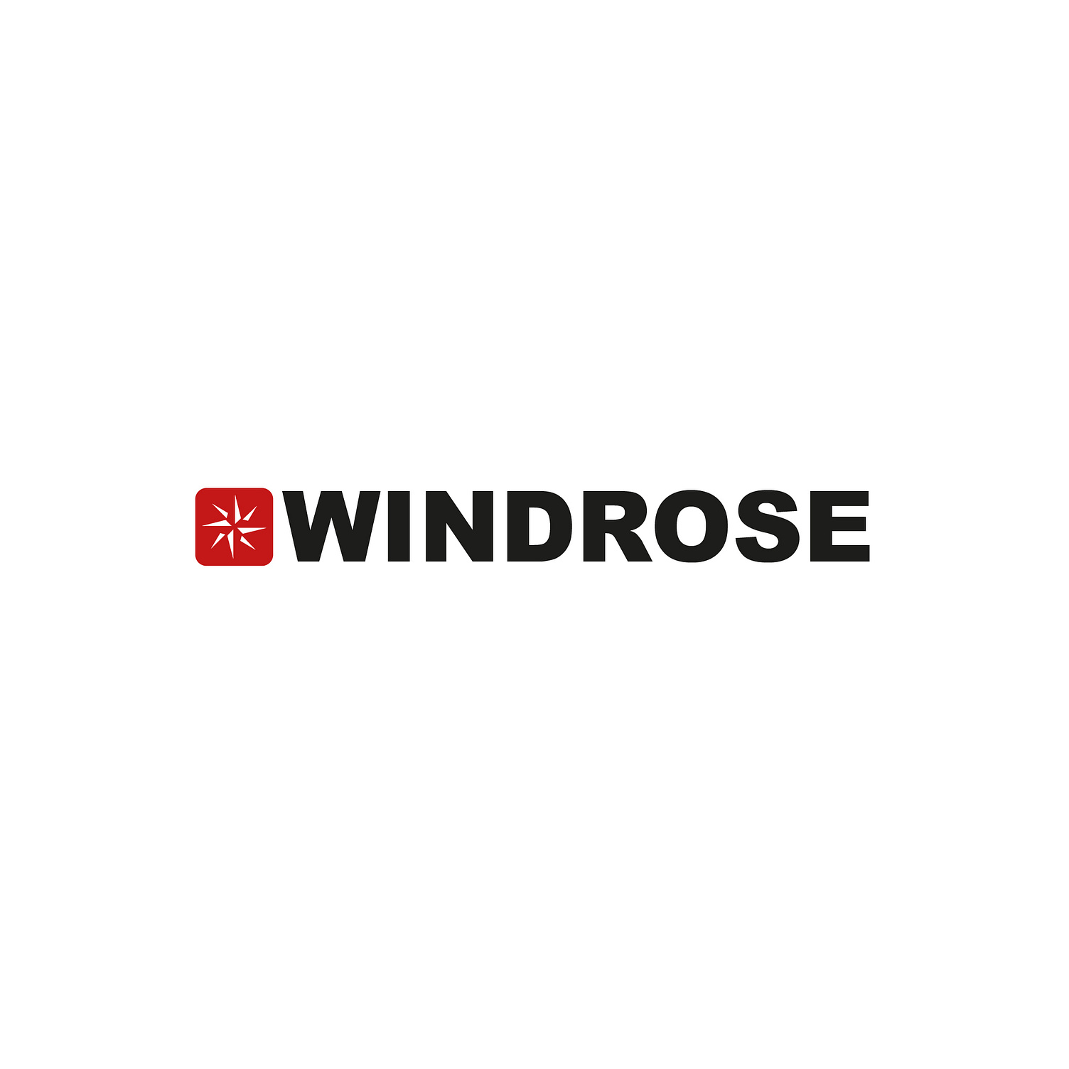 Wind Rose Logo by Brando D. Rossini on Dribbble