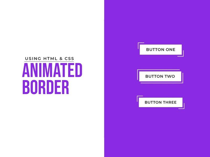 CSS Button Border Animation on Hover by divinectorweb on Dribbble CSS Button Border Animation on Hover by divinectorweb on Dribbble