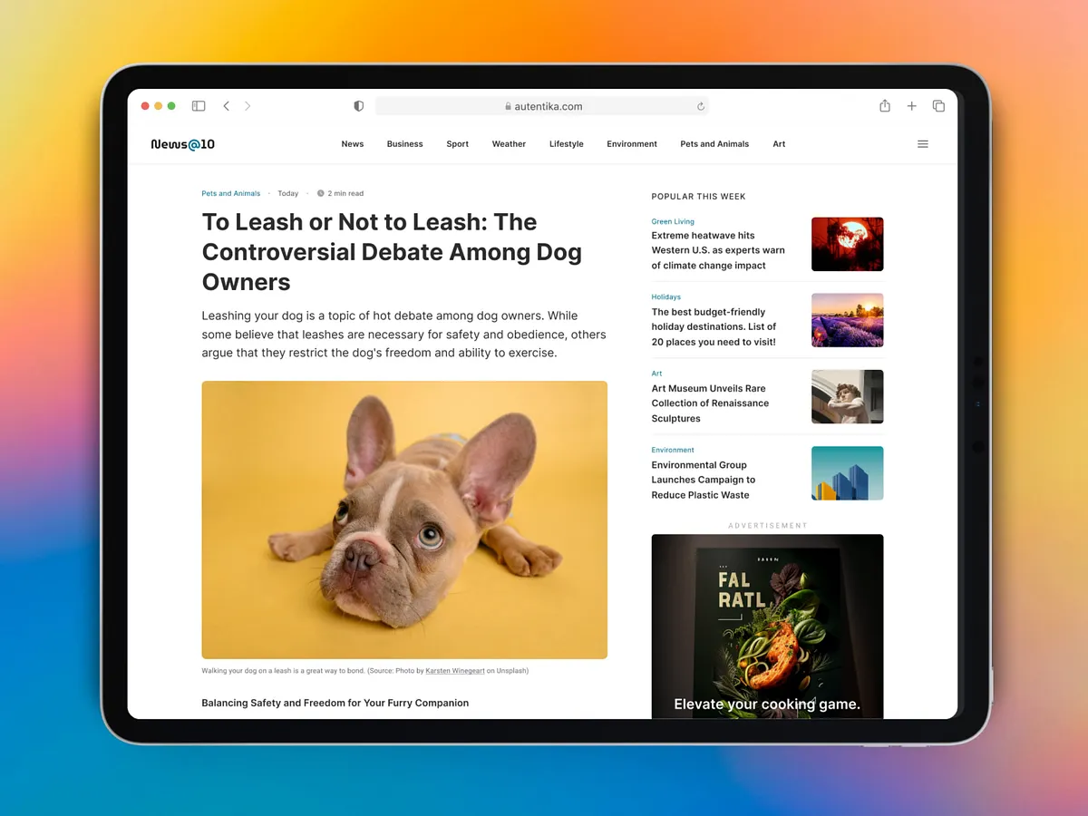 Comment Section designs, themes, templates and downloadable graphic ...