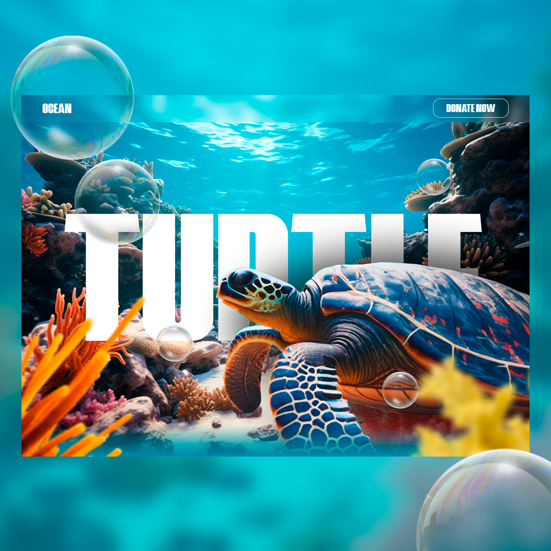 Turtle Web Design by Marcelo Design X on Dribbble