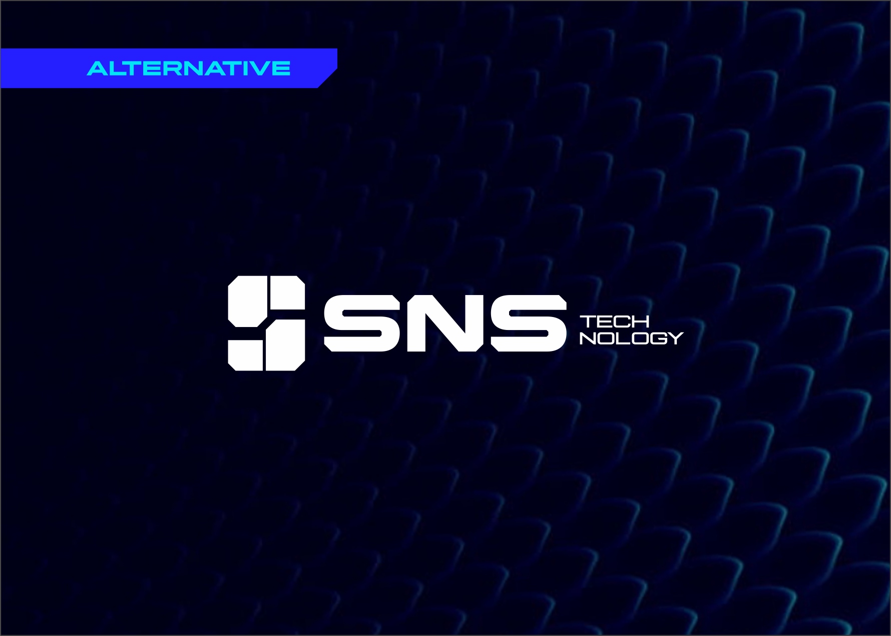 BRAND IDENTITY DESIGN - SNS TECHNOLOGY by CHINONSO on Dribbble