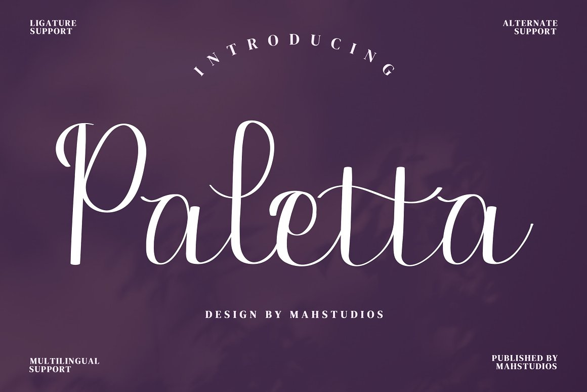 Paleta Script Fonts by John on Dribbble