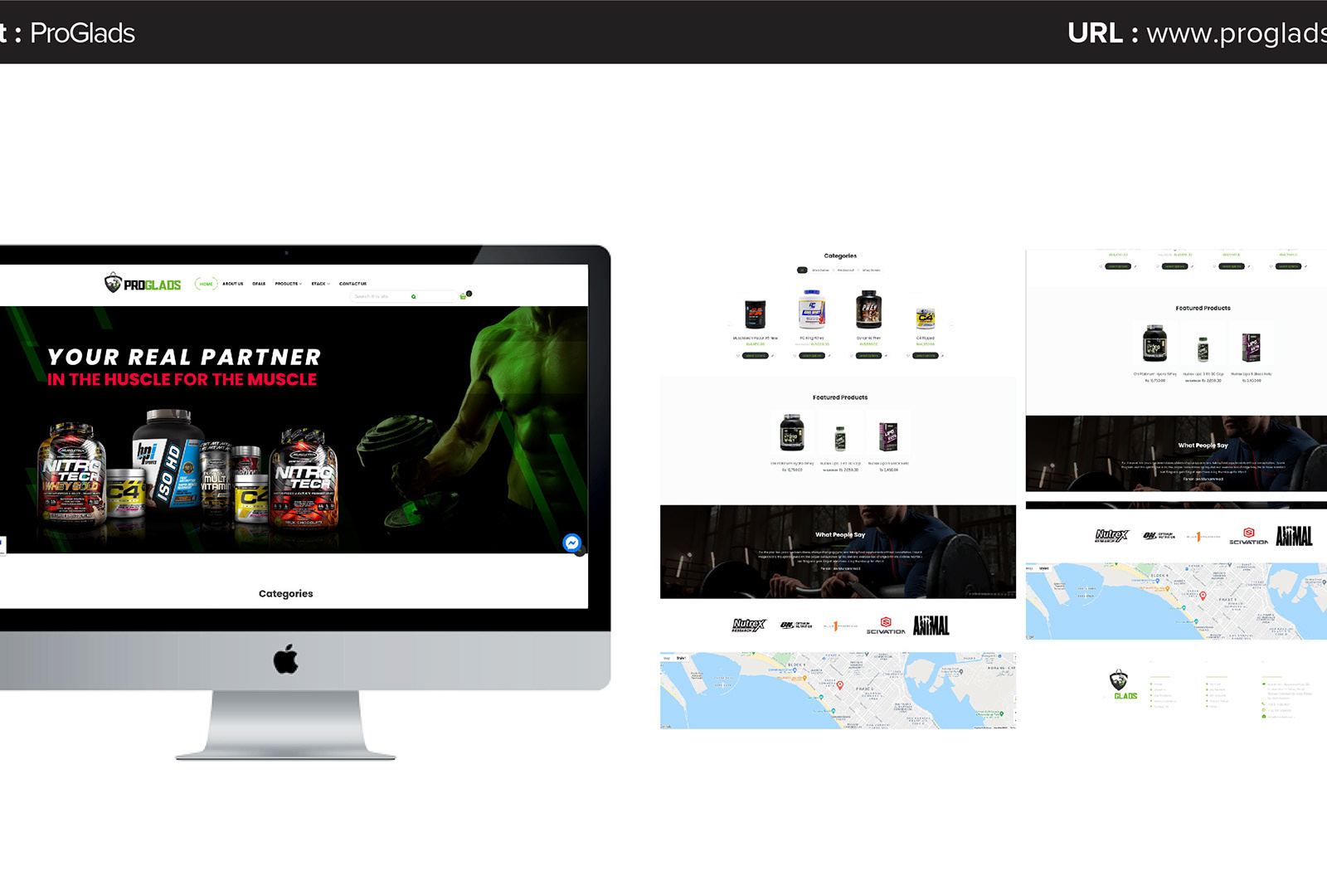 Multiple Website Design & Development by Sana Batool Moosvi on Dribbble