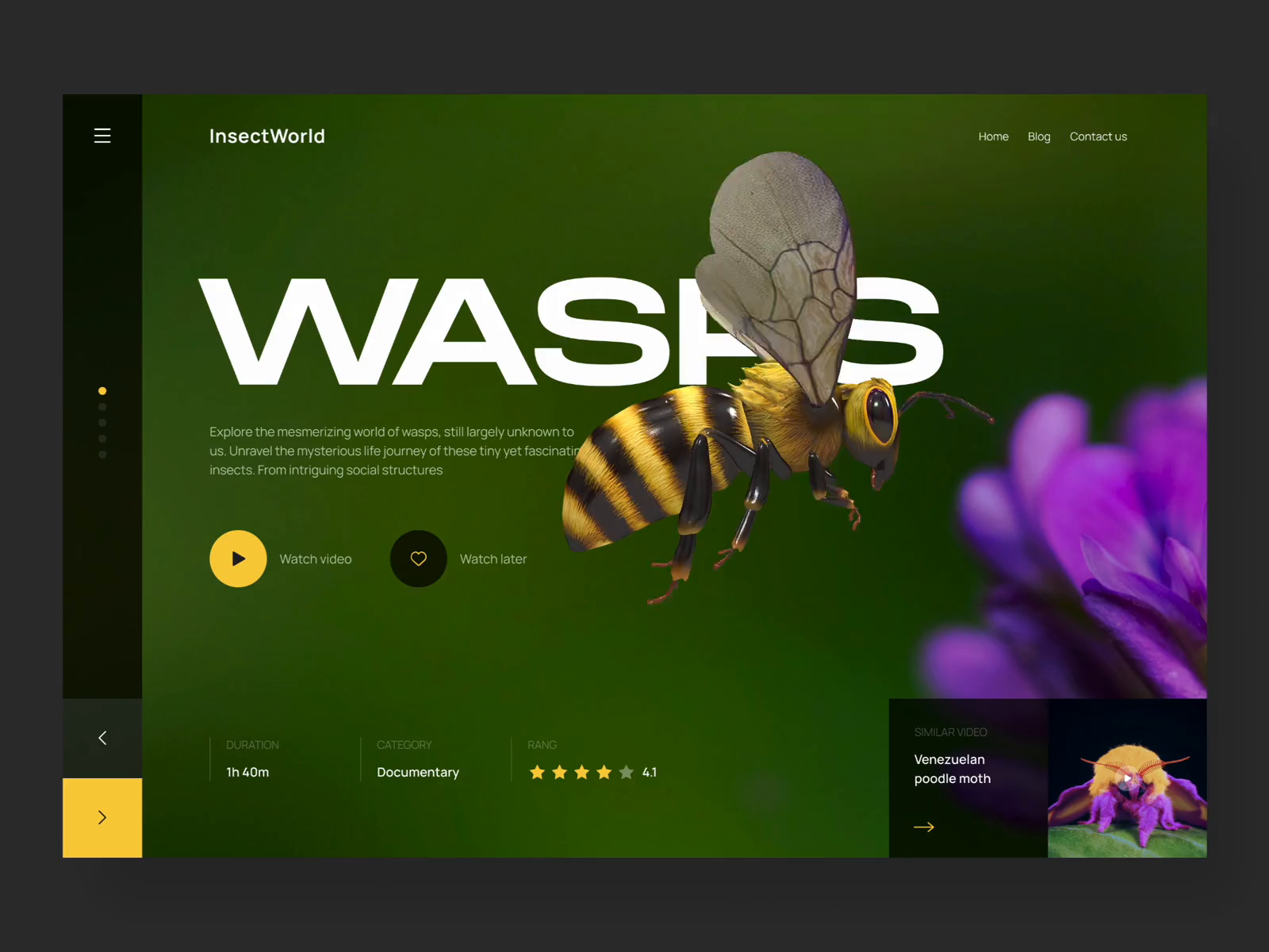 Nature Education Website By Kateryna Bormashenko For Spaceberry Studio nature-education-website-by-kateryna-bormashenko-for-spaceberry-studio
