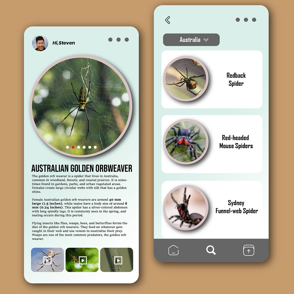 Animal Encyclopedia App UI by Studio 994 on Dribbble