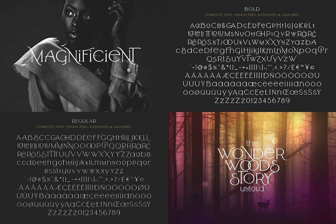 Diversity Fonts Bundle - Fonts SALE by Fontss on Dribbble