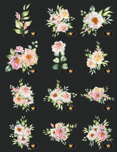 Floral peonies stickers collection elements by lukasdedi on Dribbble