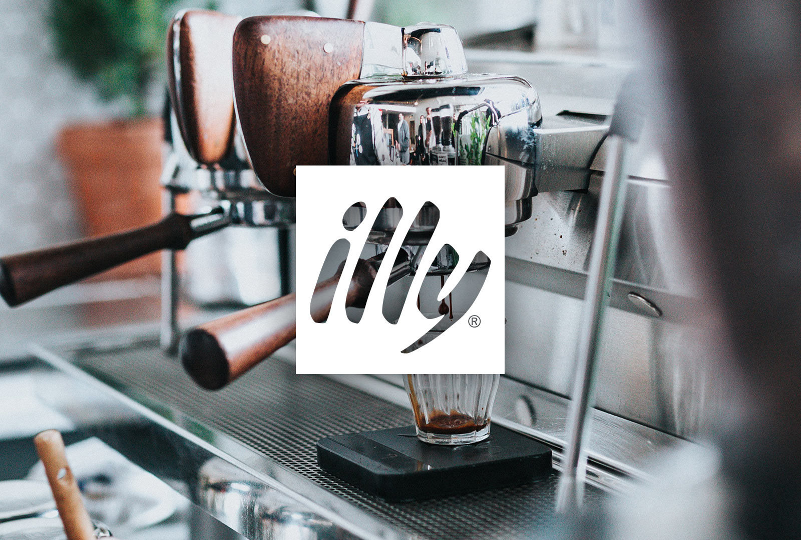 illy by Beeffective Digital Marketing Agency on Dribbble