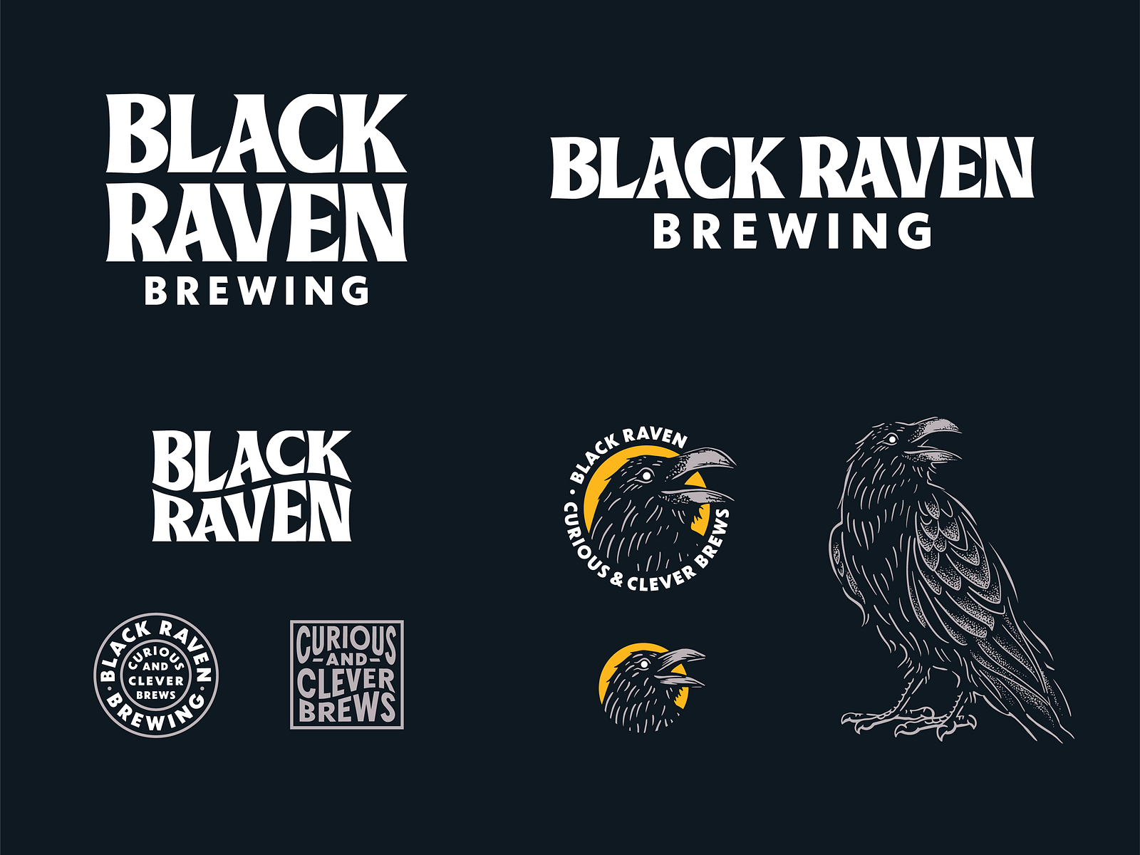 Black Raven Brewing by Lauren Stevens for Blindtiger Design on Dribbble