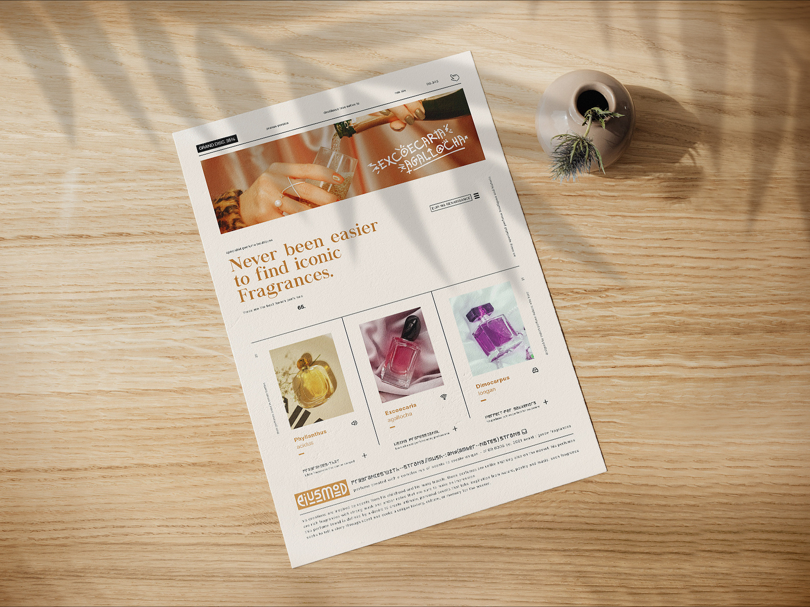 Fragrance New Variant Flyer Template by WolforDeer on Dribbble