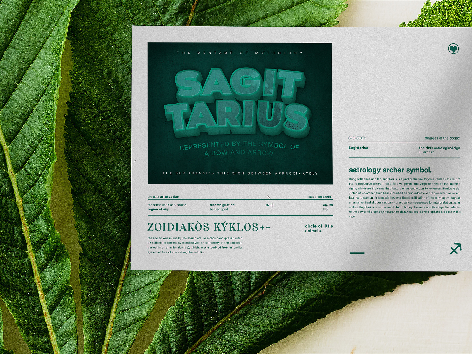 Zodiac Card Flyer Template by WolforDeer on Dribbble
