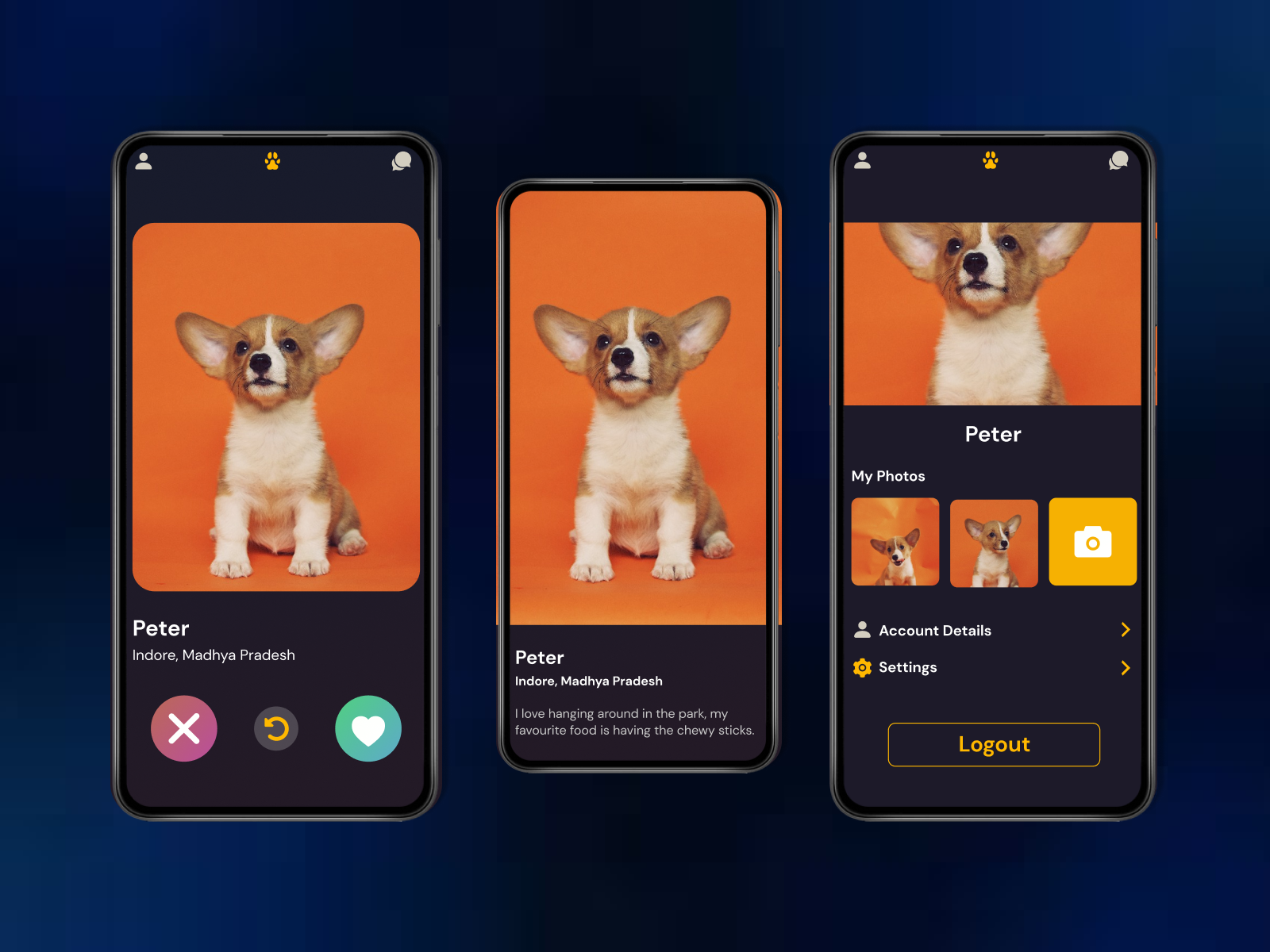 Tinder For Pet's by Nehal Patidar on Dribbble