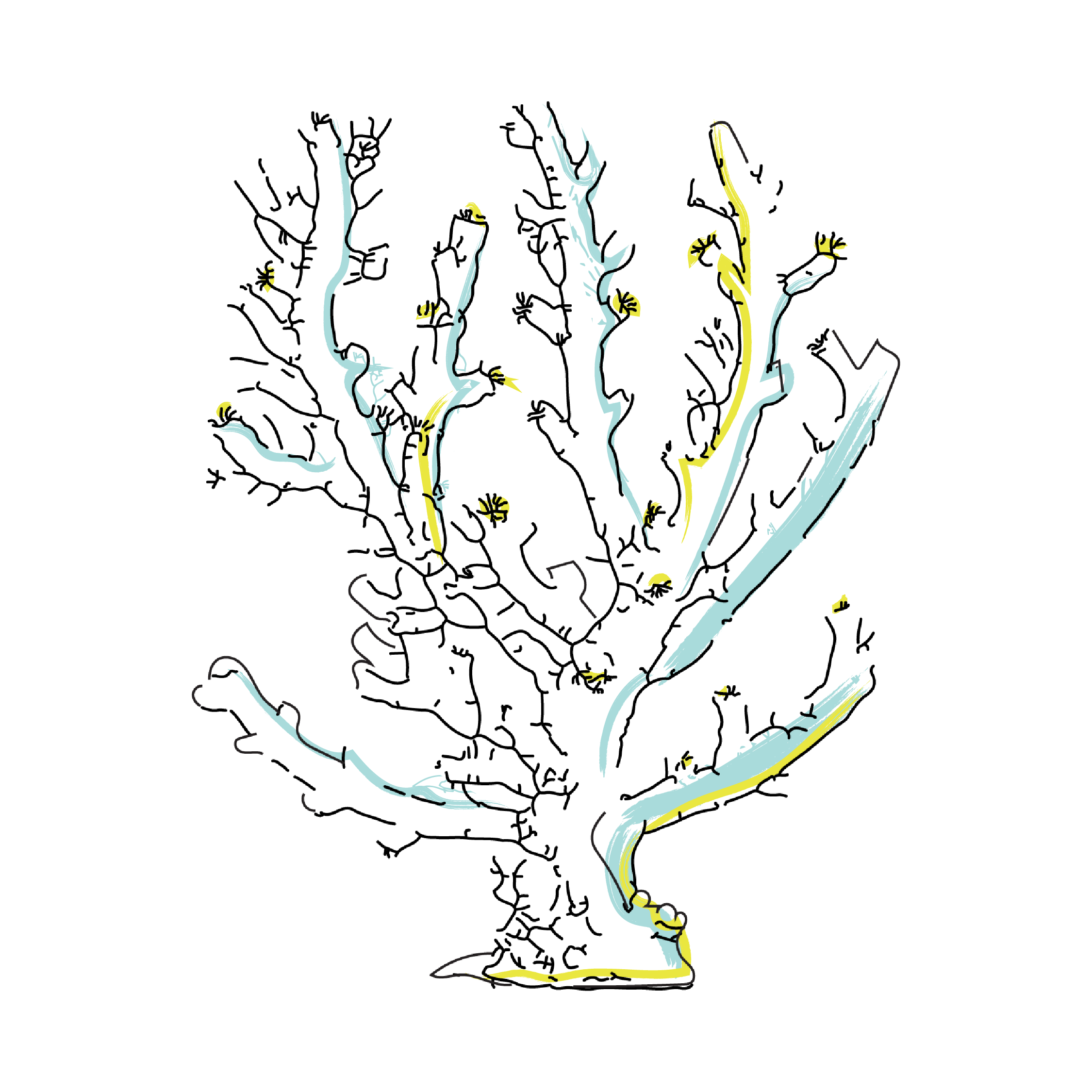 Visual Identity Clothing Brand by Trinity C on Dribbble