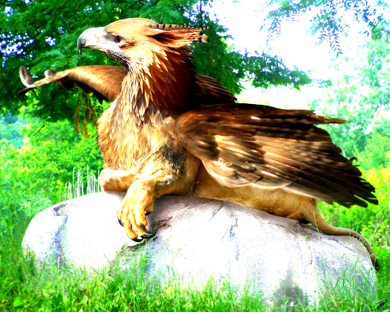 Griffin by Scarlet Crow on Dribbble