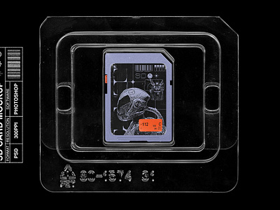 Memory Card Mockup designs, themes, templates and downloadable graphic ...