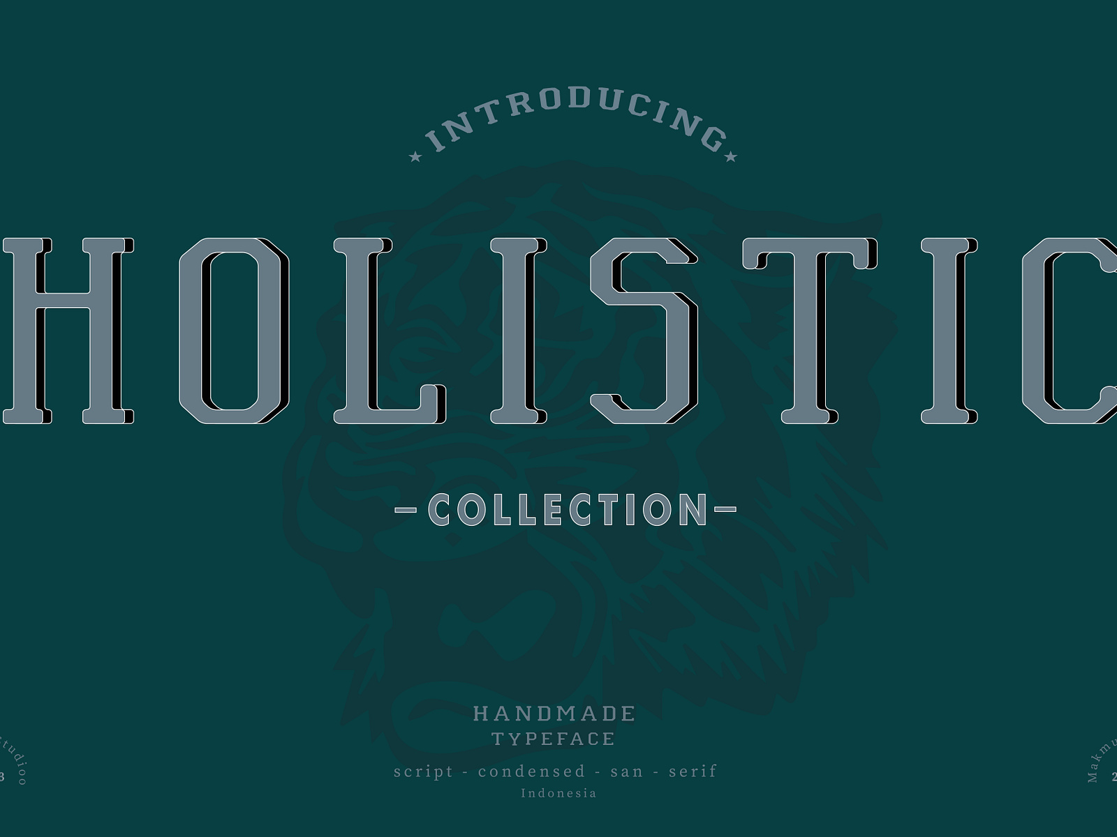 holistic font support by forzatype by Forzatype on Dribbble