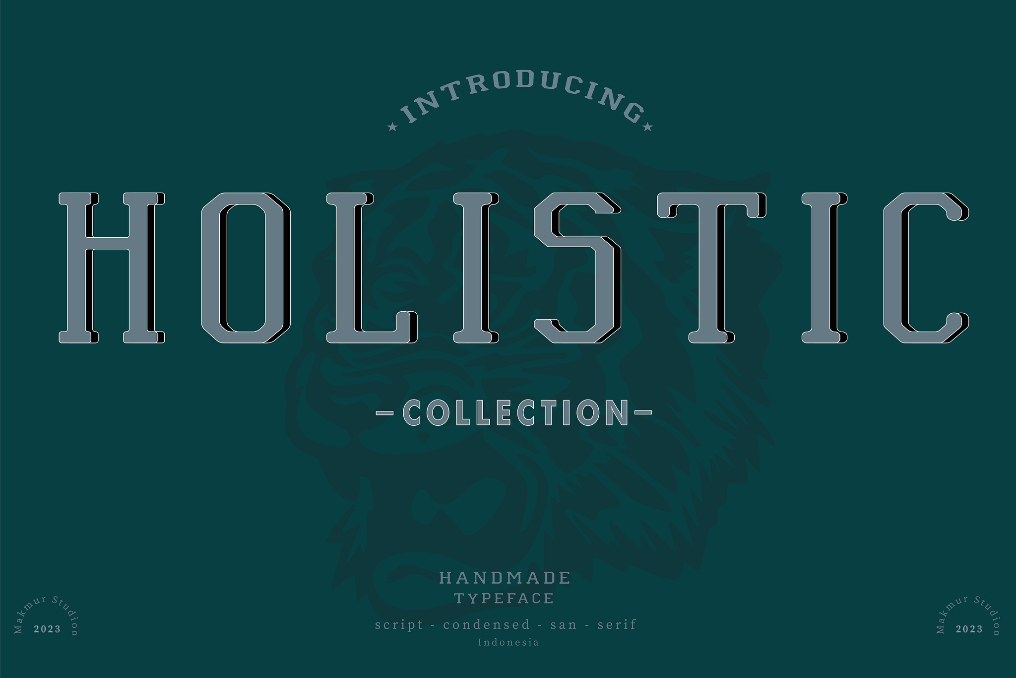 holistic font support by forzatype by Forzatype on Dribbble