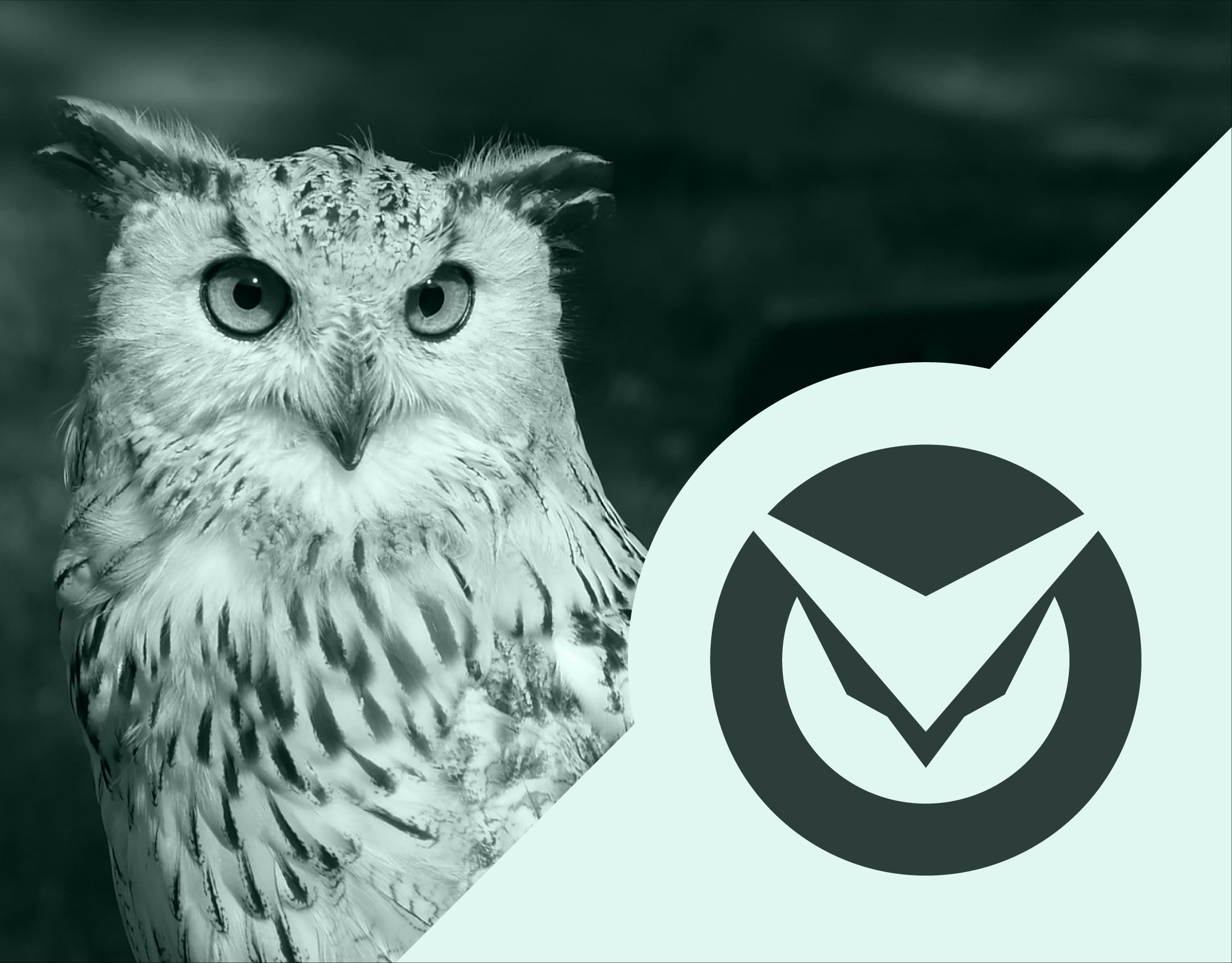 Owl mark by Elvis Lleshi on Dribbble