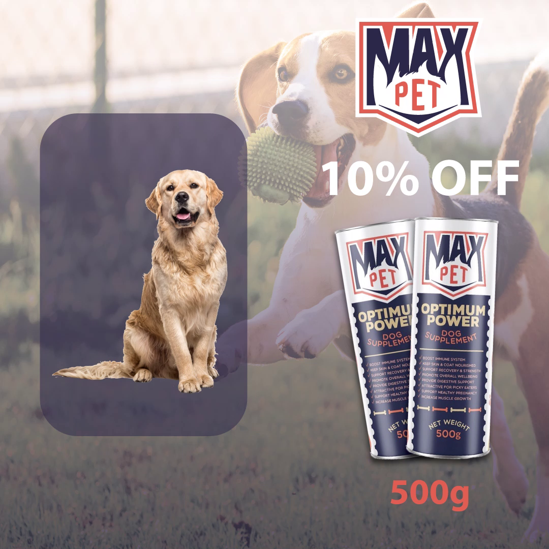 max pet social media FB / Instagram by kamal naji on Dribbble
