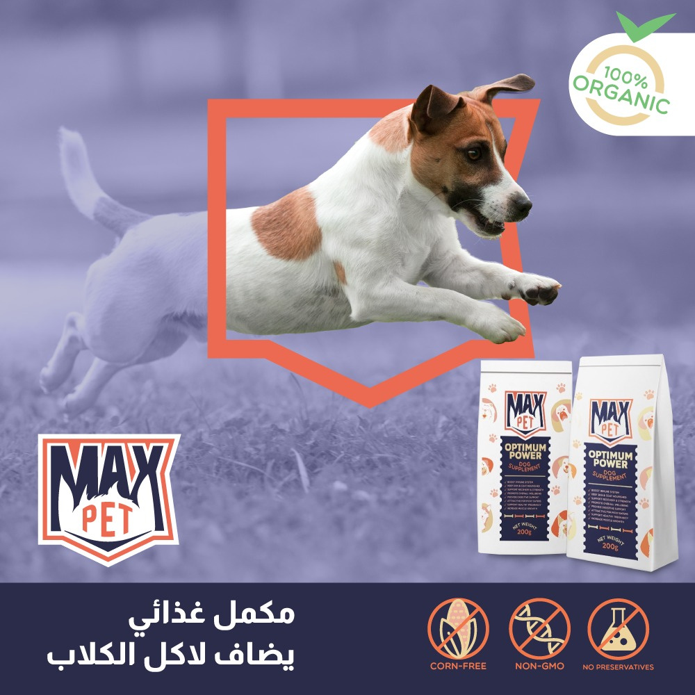 max pet social media FB / Instagram by kamal naji on Dribbble